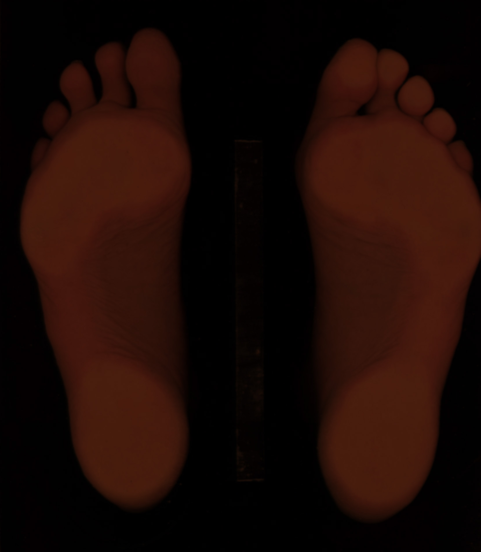 Ember Electron and Typescript